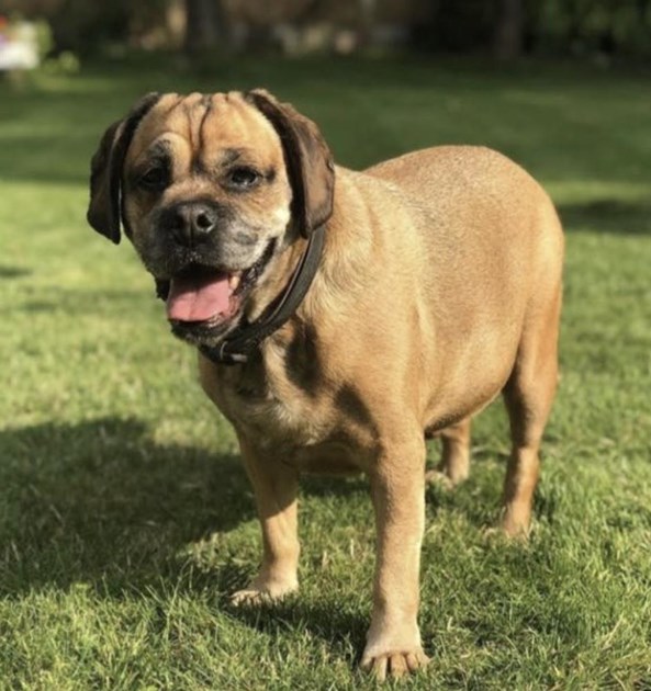 Fawn Beddows is fundraising for Manchester Foundation Trust Charity