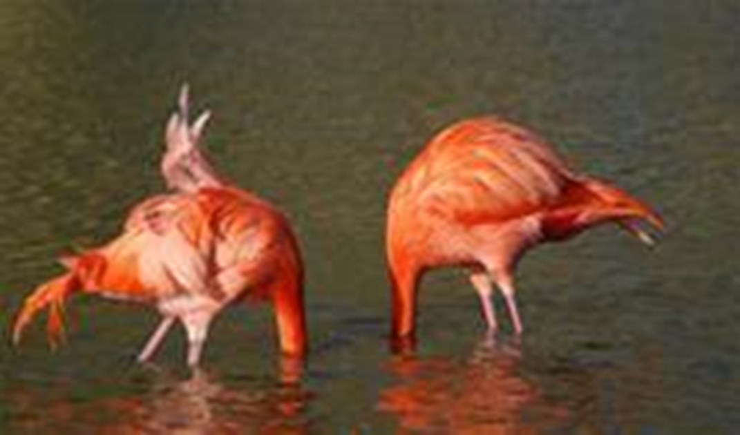 Jen Tiller is fundraising for Hertfordshire Multiple Sclerosis Therapy ...