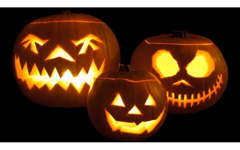 Prize Winning Pumpkins! - JustGiving