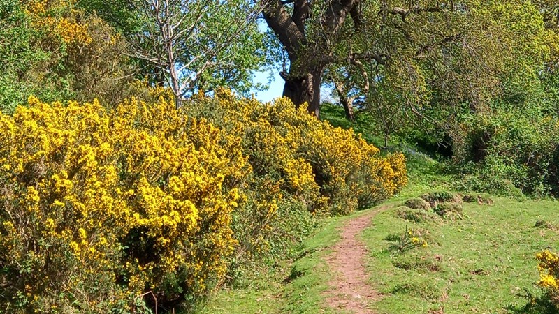 Lesley Goldsmith is fundraising for Mind