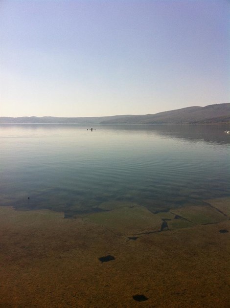 Christine Podrini is fundraising for Cancer Research UK