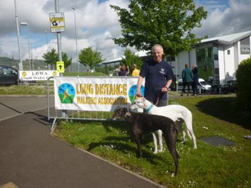 David Podmore is fundraising for Forever Hounds Trust