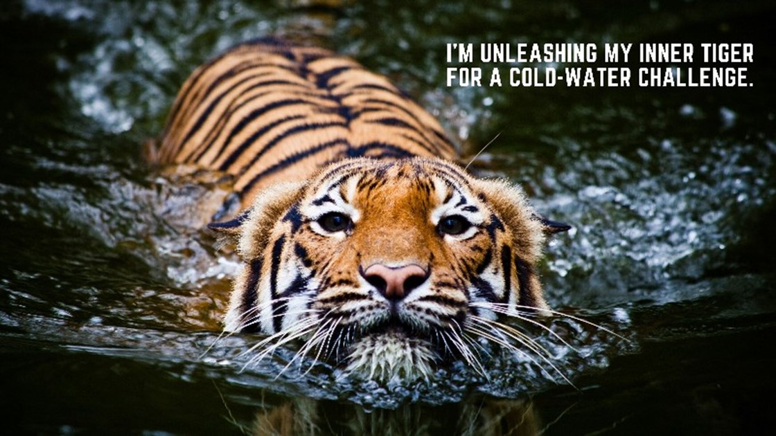 Angela Davies is fundraising for Wildlife Vets International