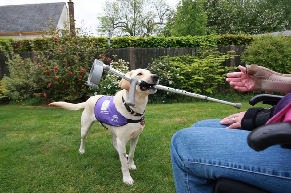 Laura Loftus is fundraising for Canine Partners