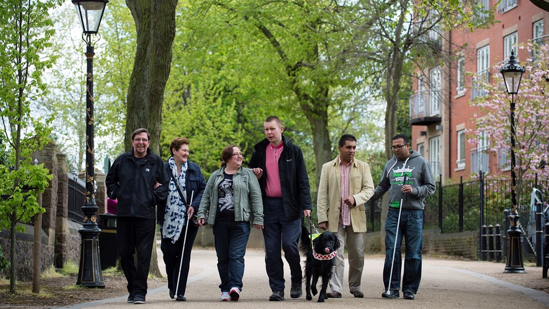 Anne Billson is fundraising for Vista