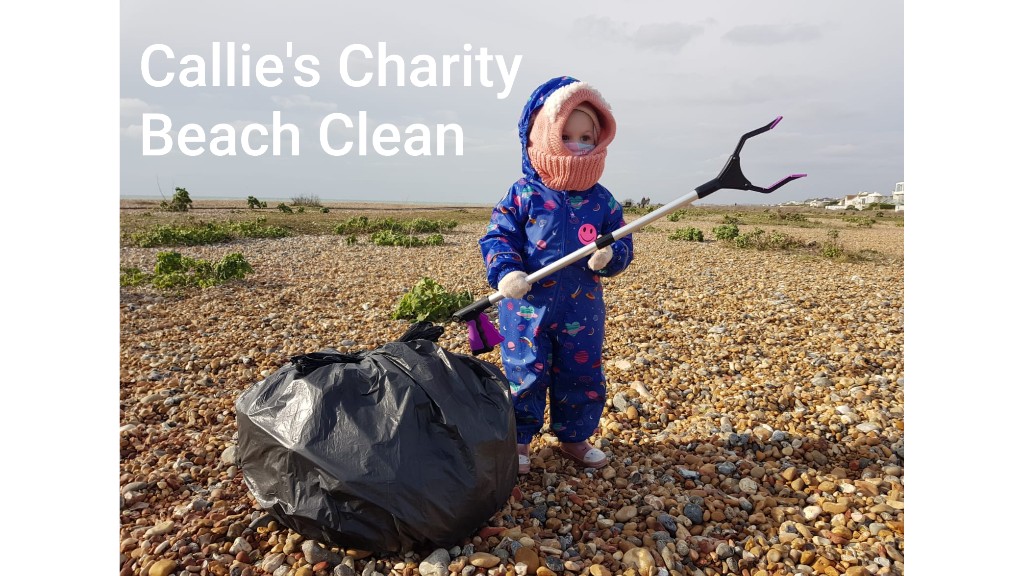 Callie's Charity Beach Clean fundraising on JustGiving
