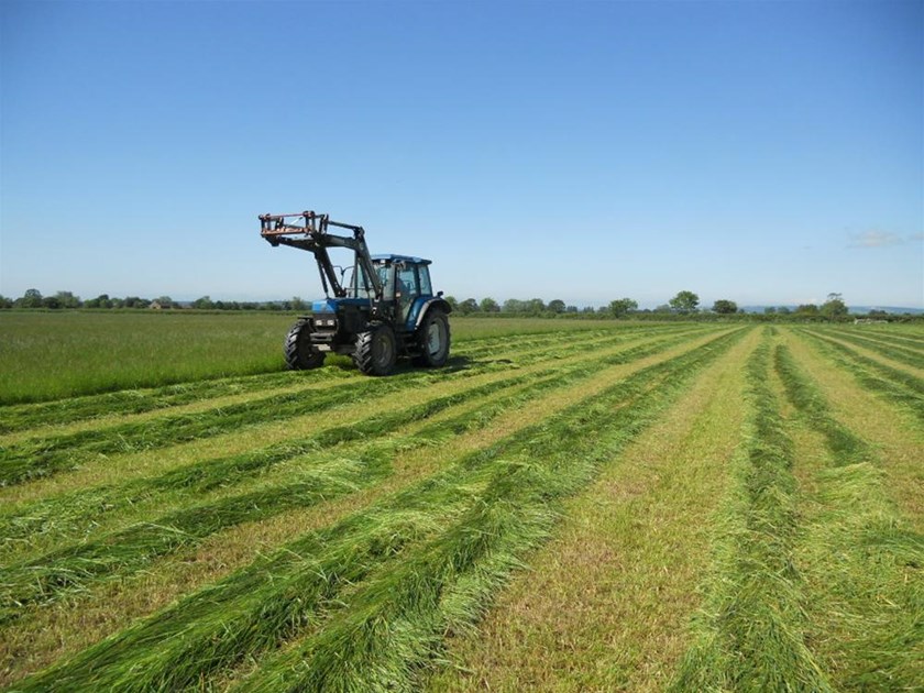 Helen Earmshaw is fundraising for Anthony Nolan