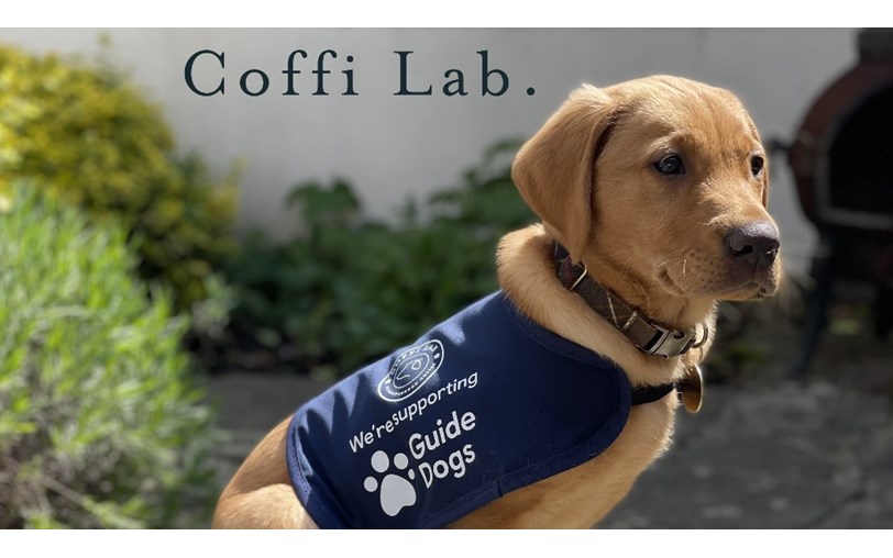 Coffi Lab fundraising for Guide Dogs on JustGiving