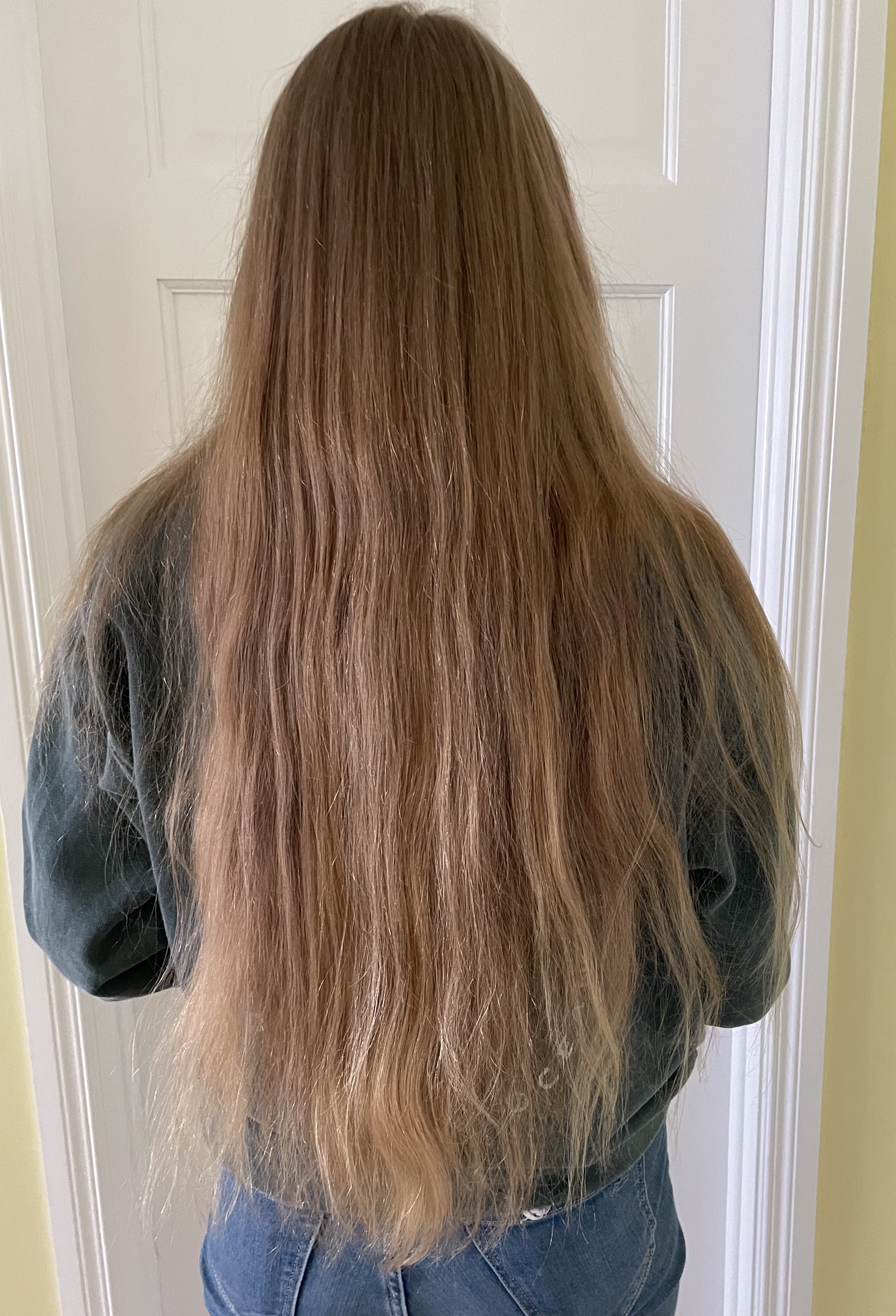 Katelyn Mills is fundraising for Little Princess Trust