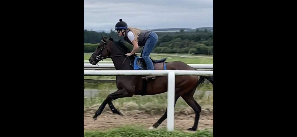Vicki Godfrey is fundraising for Racing Welfare