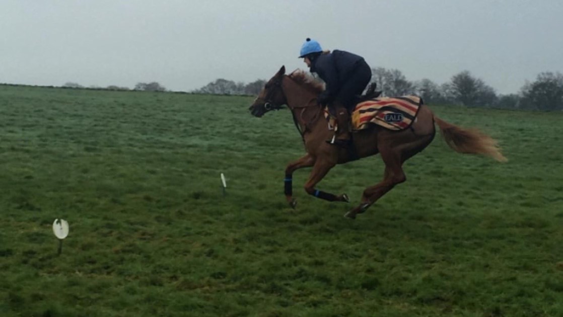 Frances Stanley is fundraising for The National Horseracing Museum