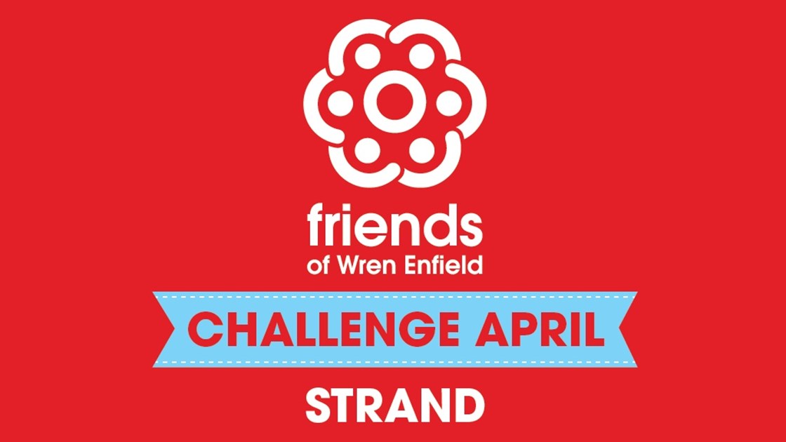 Andrew Christou is fundraising for Friends of Wren Enfield