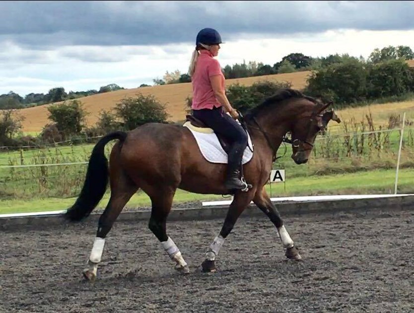 Emma Busk is fundraising for Hannah's Willberry Wonder Pony Charity