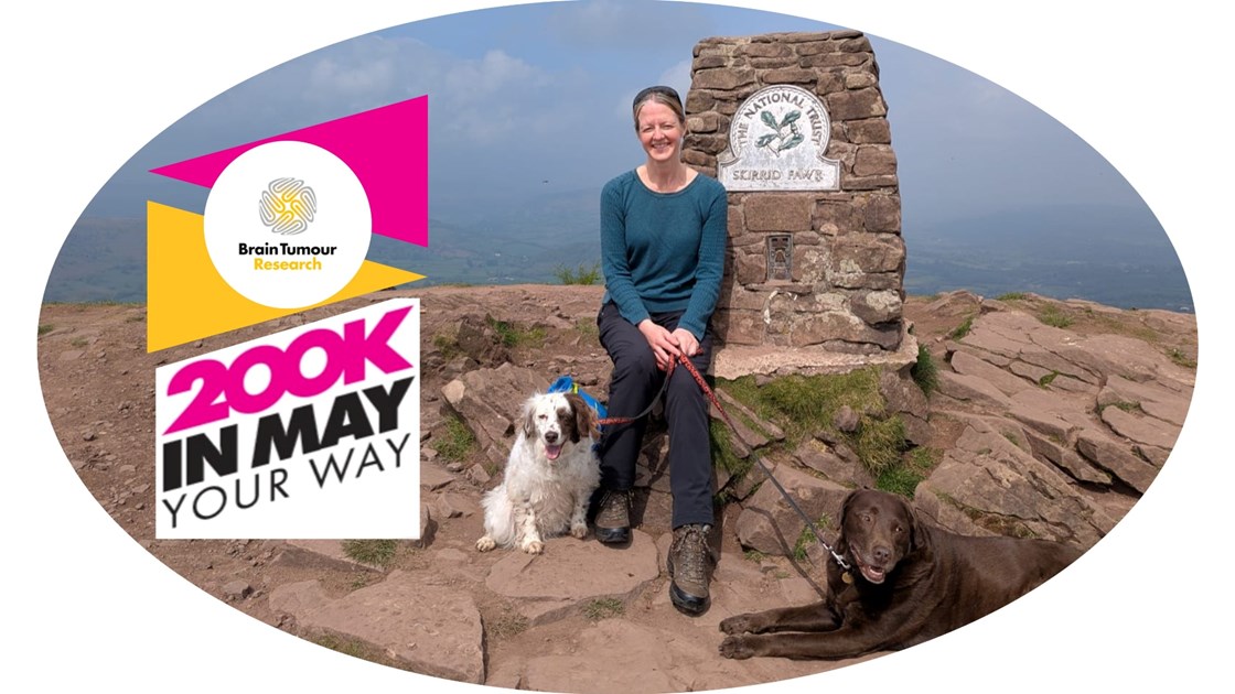 Lisa Mansell is fundraising for Brain Tumour Research