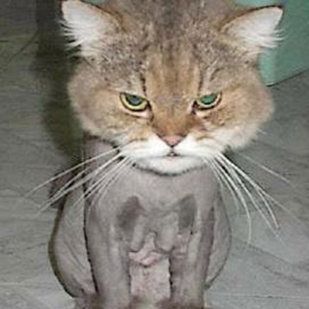 Ben Llewelyn is fundraising for Age UK Oxfordshire