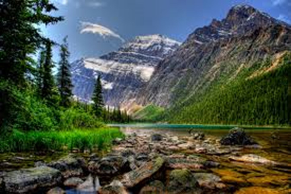 Euan Scott is fundraising for Cavell Nurses' Trust