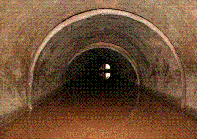 Mark Bamfield is fundraising for Devon Air Ambulance Trust