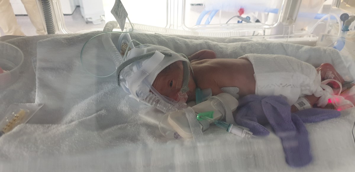 Robyn Abraham is fundraising for Bliss