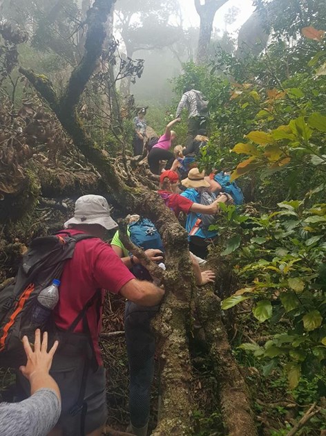 Amy Whyte is fundraising for THE CHRONICLE SUNSHINE FUND