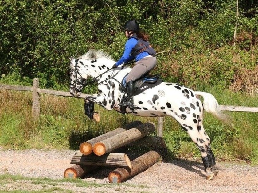 Nina Perkins is fundraising for Hannah's Willberry Wonder Pony Charity