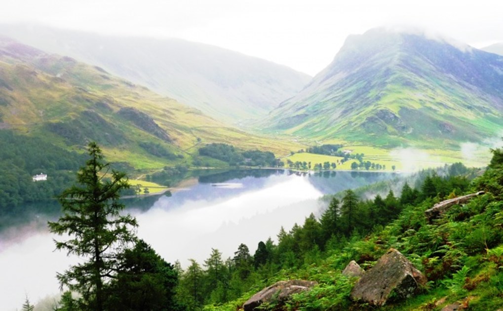 Benjamin Dodd is fundraising for Wildwood Trust