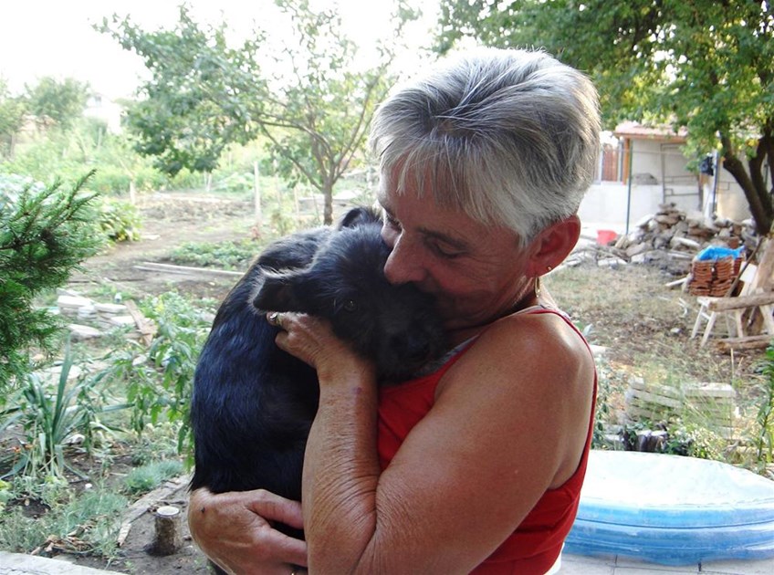 Brian Yeo is fundraising for Hounds for Heroes