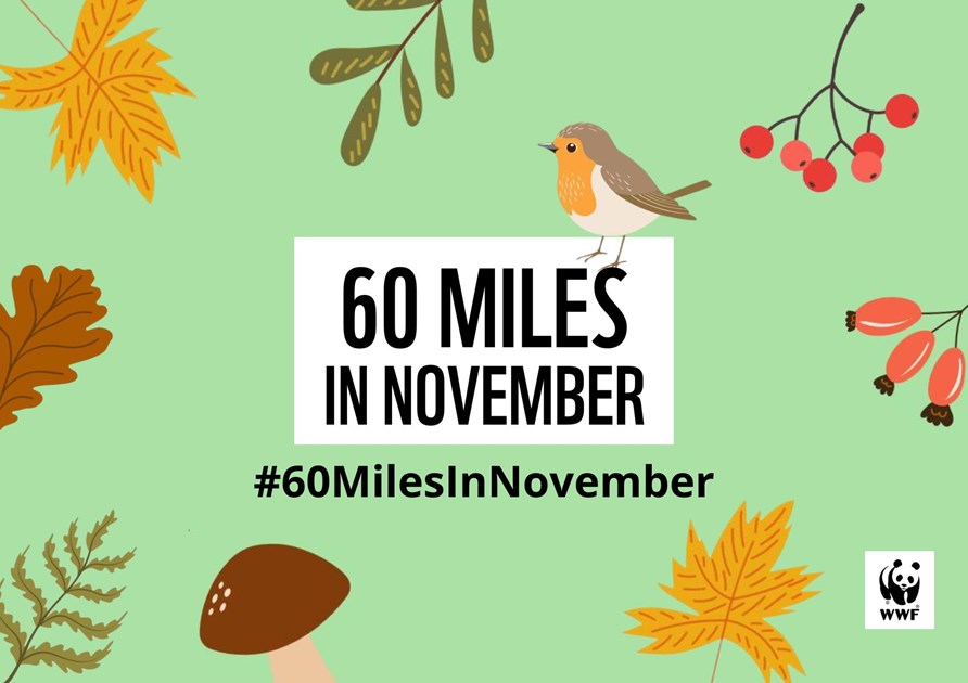 Jennifer Birchall is fundraising for WWF-UK