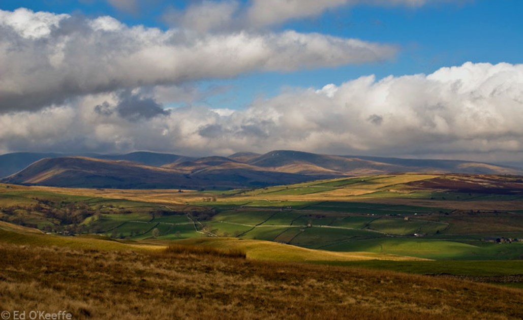 Monika Mankiewicz is fundraising for The British Red Cross Society