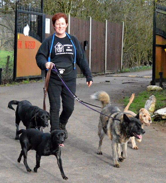 Annie Marriott is fundraising for Animals In Need Northamptonshire