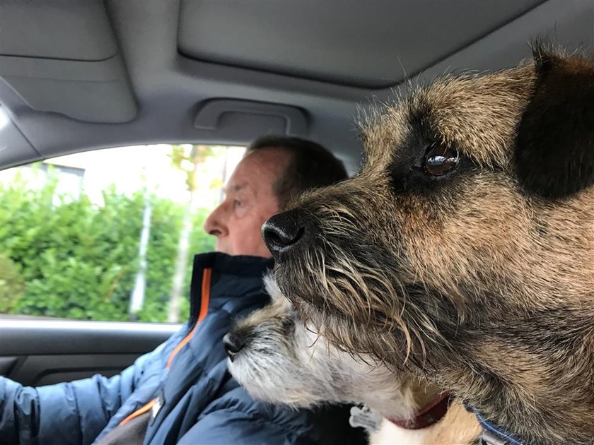 Heather Bathgate is fundraising for Cheltenham Animal Shelter