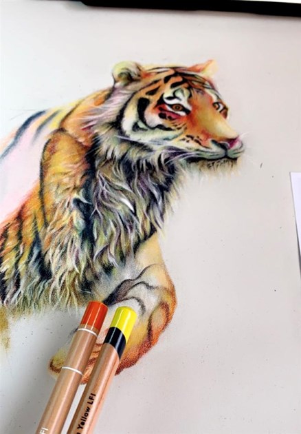 Daisy Allen is fundraising for Macmillan Cancer Support