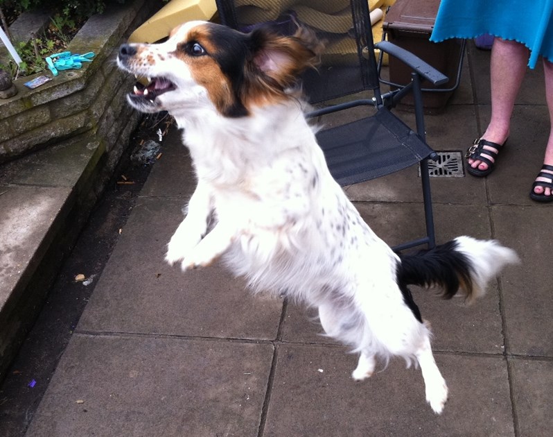 Anthony Moscrop-Jennings is fundraising for Cancer Research UK