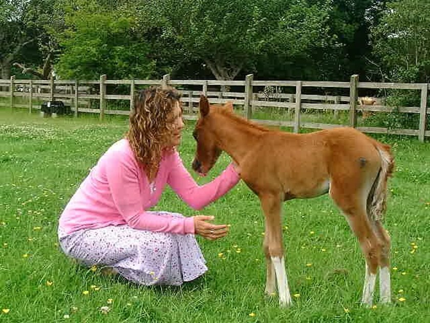 Rachel Briggs is fundraising for Blue Cross