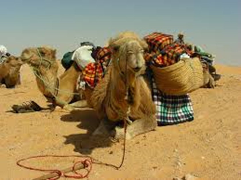 John Millgate is fundraising for Cancer Research UK