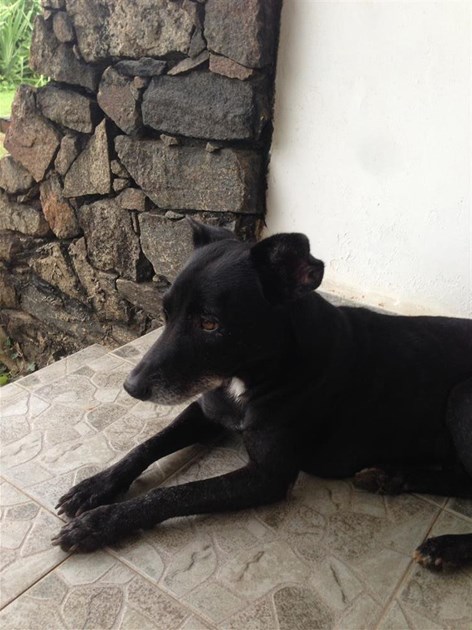 Felicity Haines is fundraising for WECare Worldwide