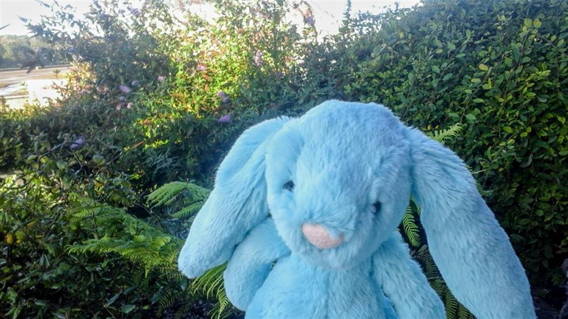 David Andrewartha is fundraising for The Eve Appeal