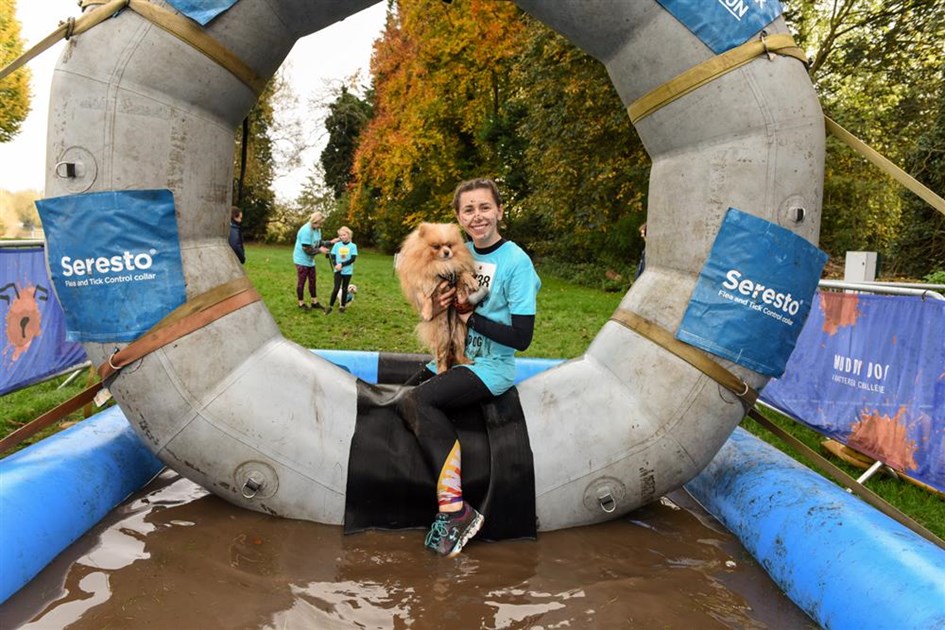 Elise Bowers is fundraising for Battersea