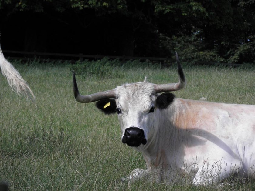 Lip Pip Patterson is fundraising for PROSTATE CANCER UK