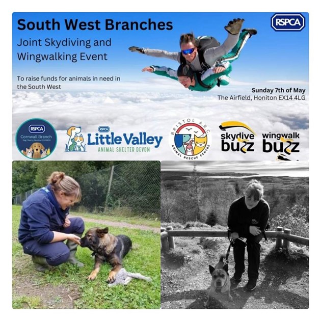 Charlene Archer is fundraising for Little Valley Animal Shelter (RSPCA ...