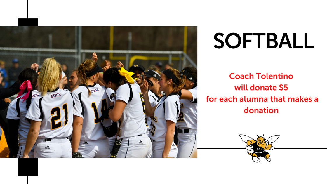 AIC Institutional Advancement is fundraising for American International ...