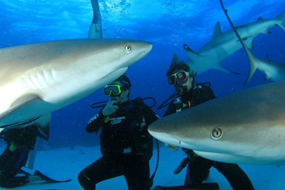 Annie Marriott is fundraising for Animals In Need Northamptonshire