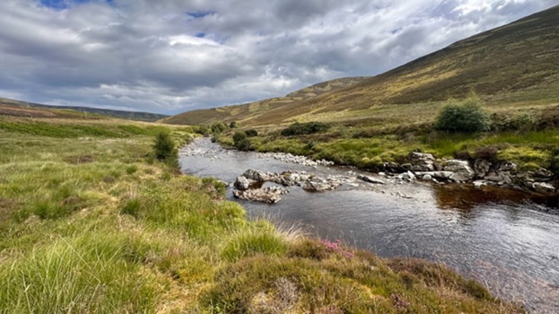 Annette McBride is fundraising for Tayside Healthcare Arts Trust