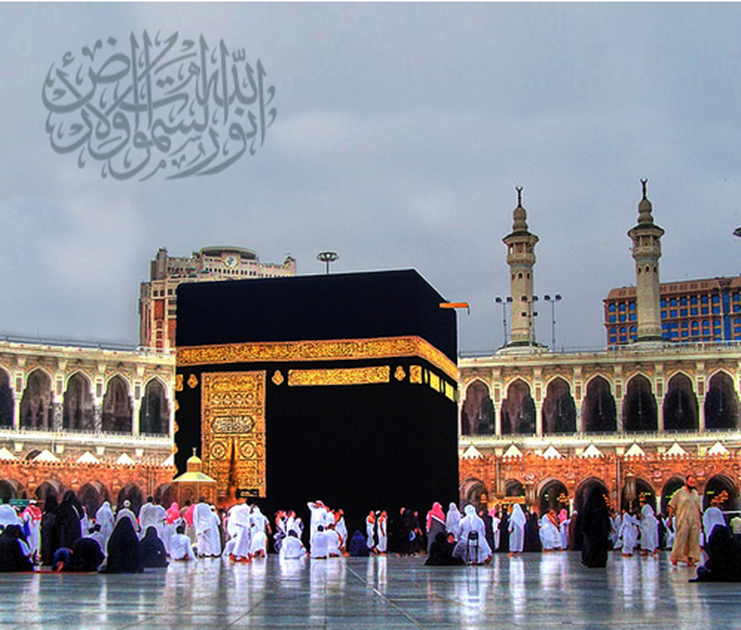 The Islamic Ummah is fundraising for Hand in Hand for Aid and Development