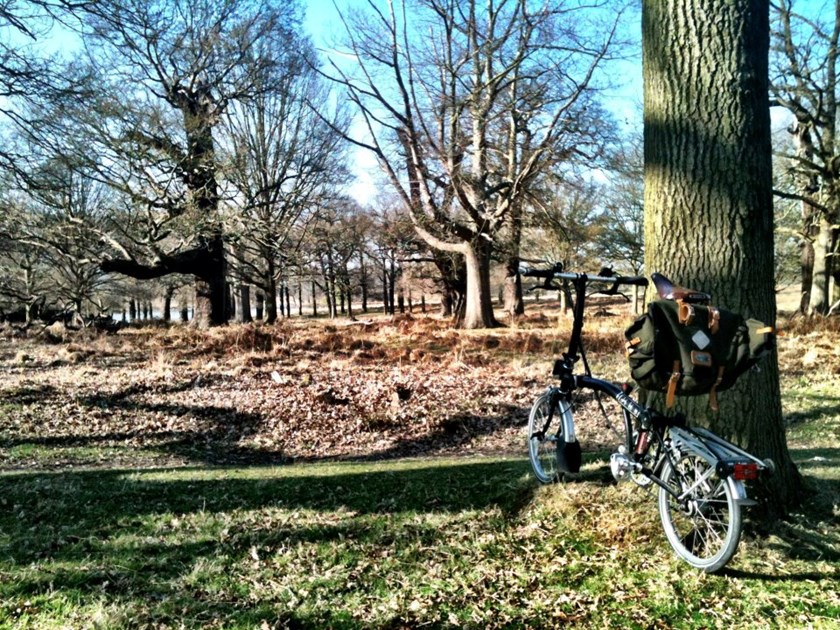 Edwin Loo is fundraising for Great Ormond Street Hospital Children's ...