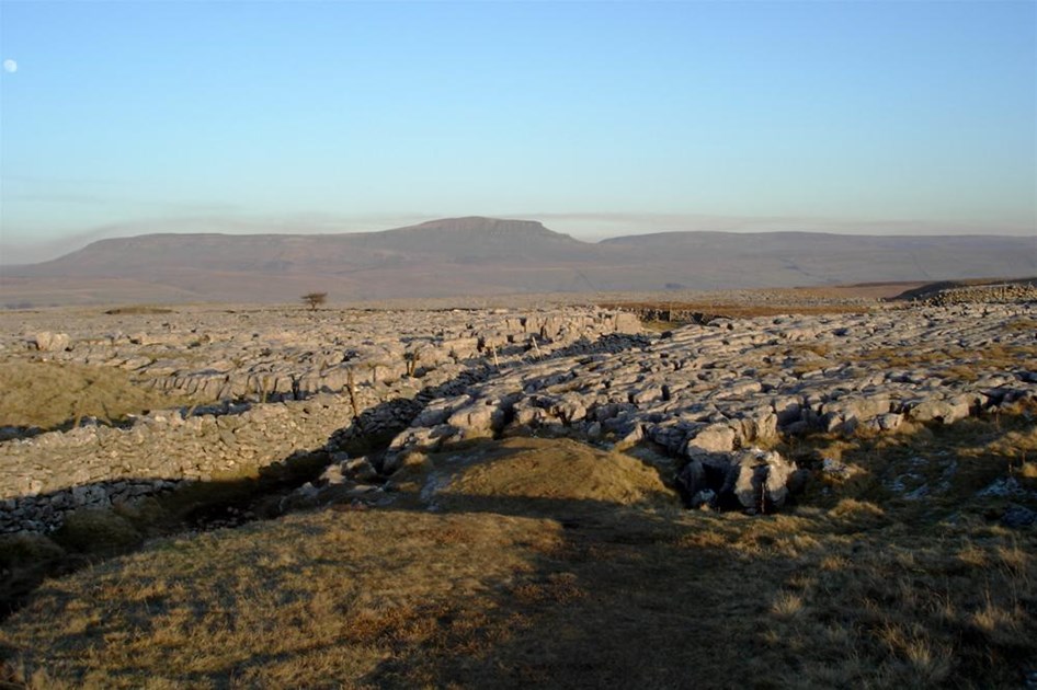 Kristopher King is fundraising for Christian Aid