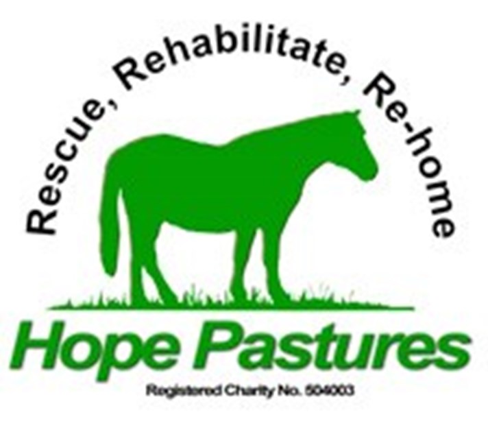 anna crowle is fundraising for Hope Pastures Horse & Donkey Rescue and ...