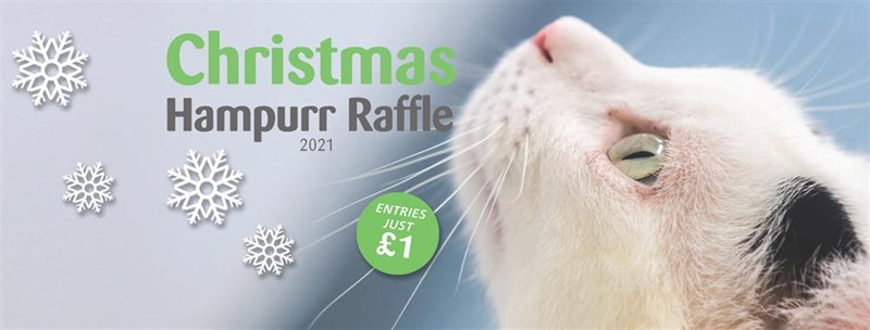 Sheffield and District Cats Protection is fundraising for Cats Protection