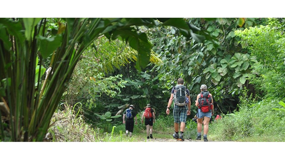 David Turnock is fundraising for SHINE