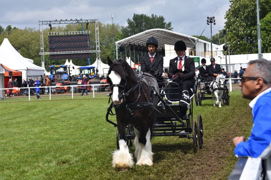 christine blackman is fundraising for Park Lane Stables RDA