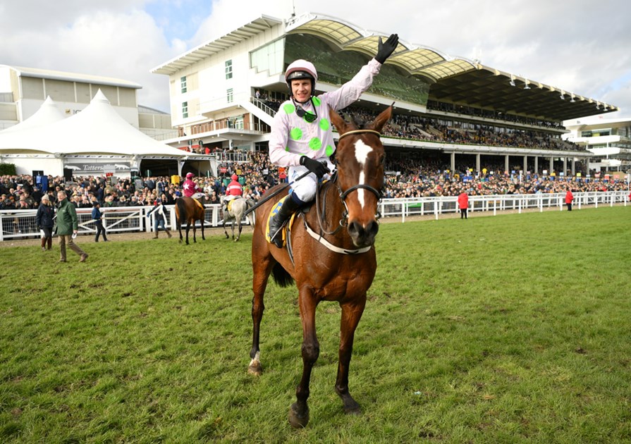 Steven Dowler is fundraising for Racehorse Sanctuary